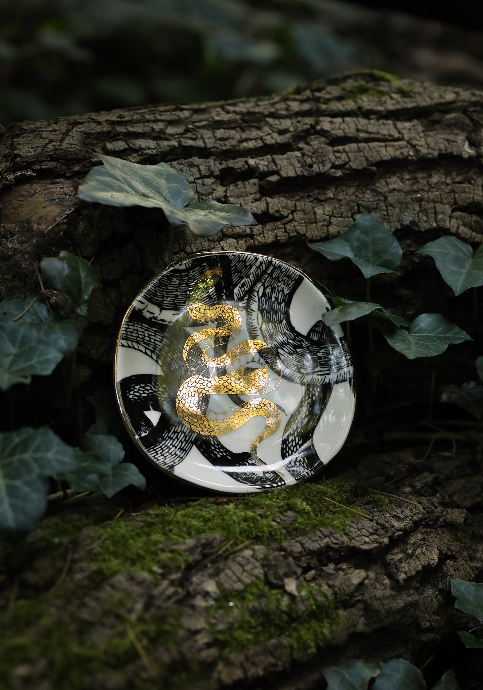 Saraph Snakes Round Trinket Dish | Disturbia - Shop Women's Gothic ...