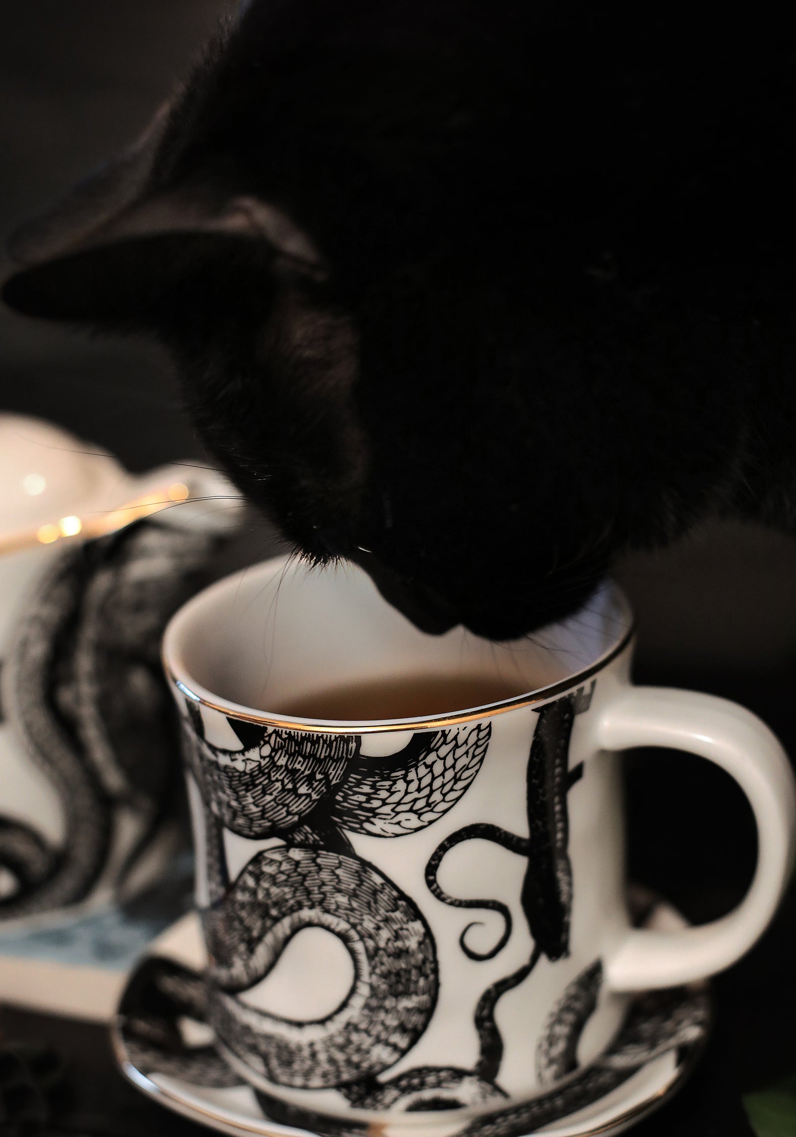 Saraph-Snakes-Mug – Disturbia